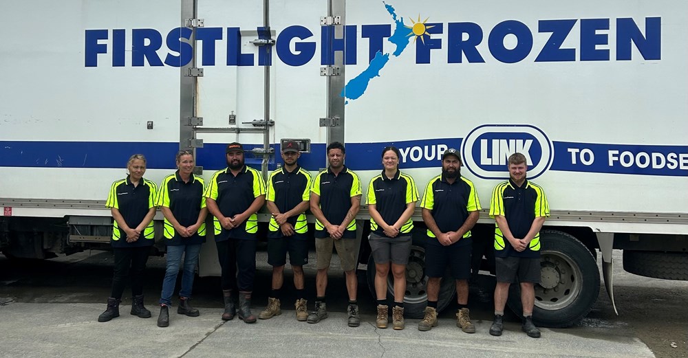 Firstlight Frozen Online