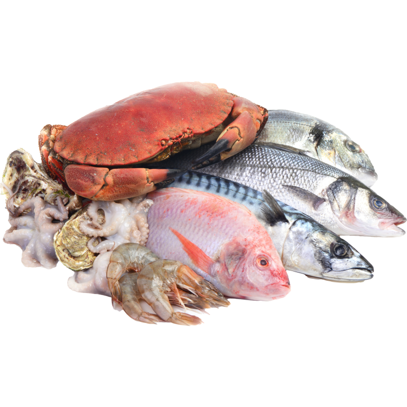 Firstlight Frozen Online